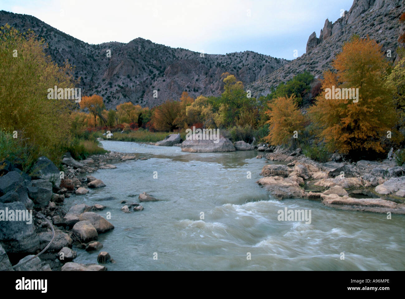 Logan sweet hi-res stock photography and images - Alamy