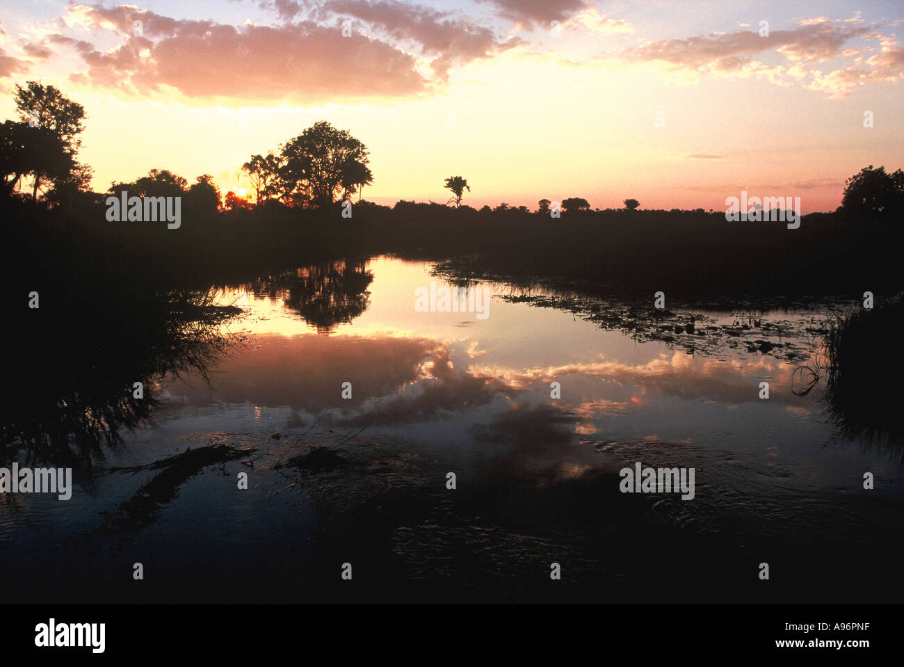 Okavango inland delta hi-res stock photography and images - Alamy