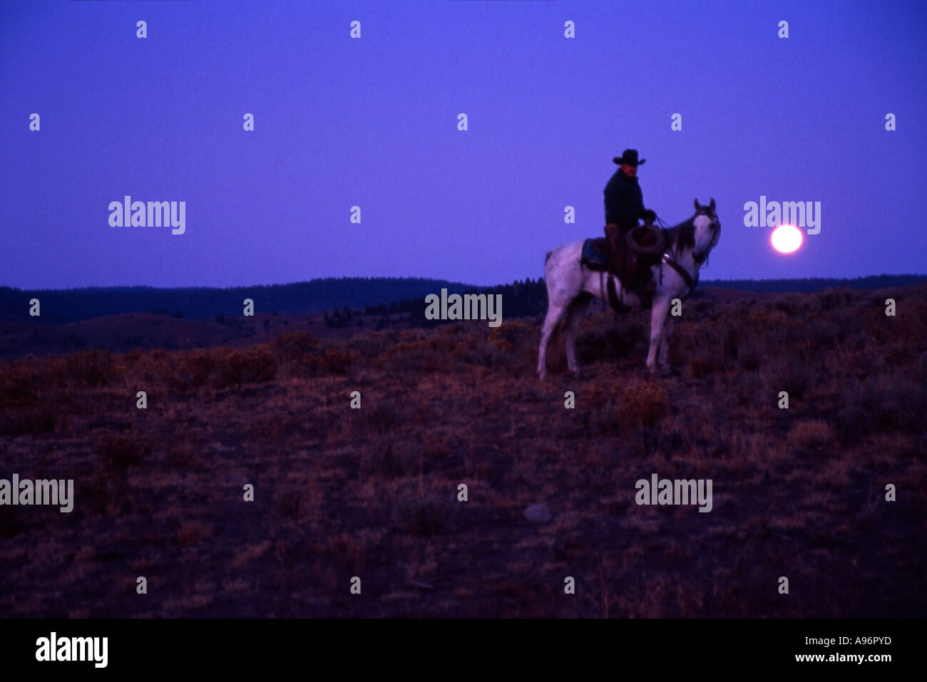 Ranchero man hi-res stock photography and images - Alamy