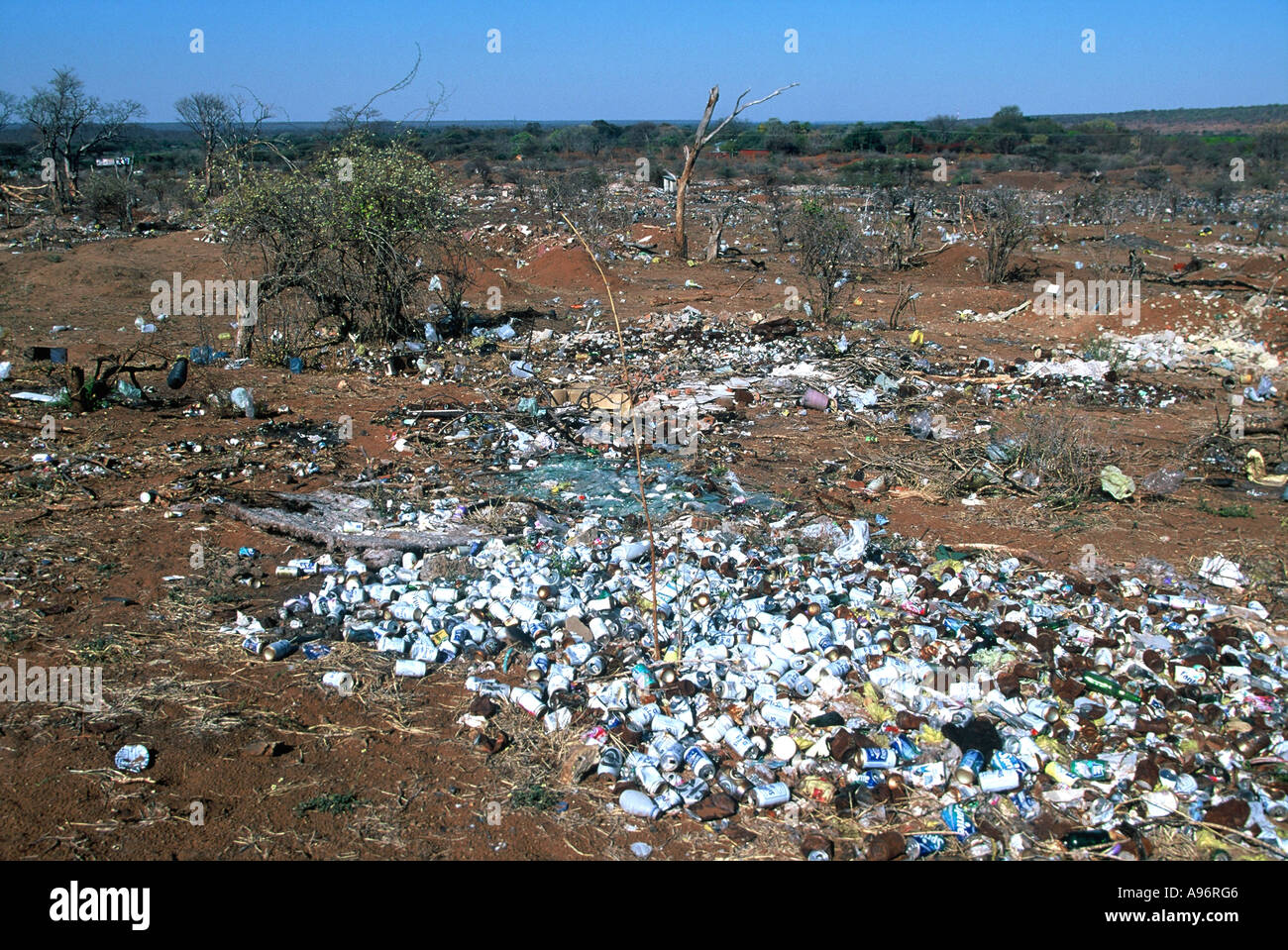Tswana cattle hi-res stock photography and images - Alamy