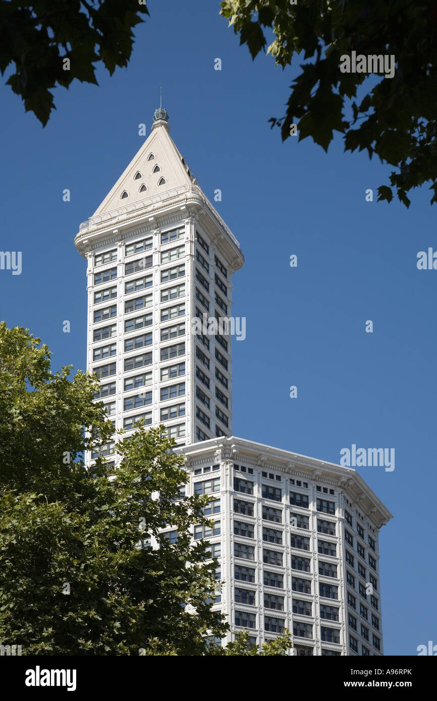 Trees skyscraper hi-res stock photography and images - Alamy