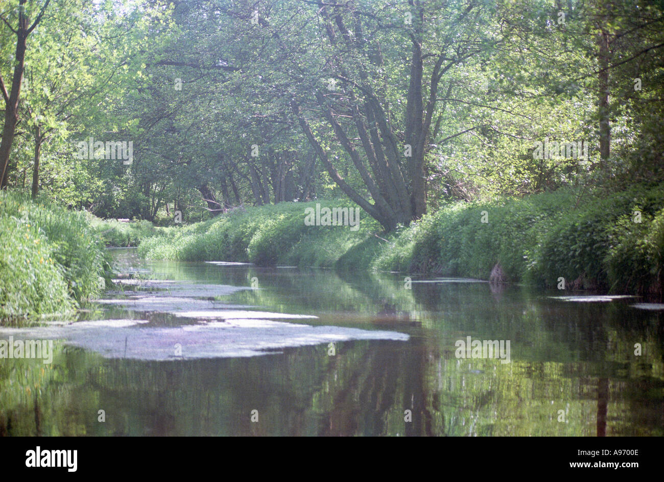 A peaceful stretch of river with the reflection of the trees in the ...