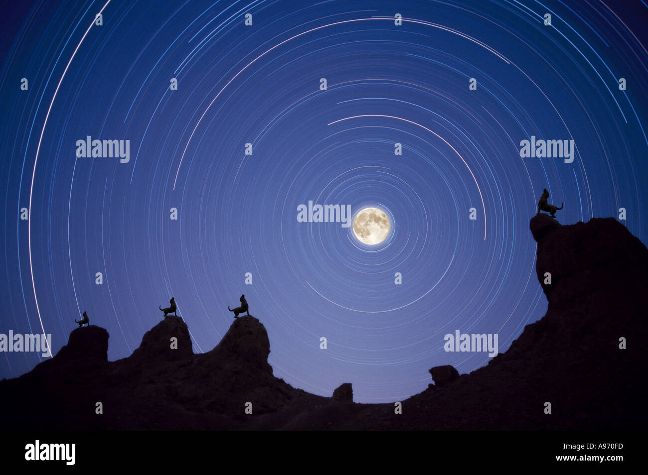Dog Howling And Moon High Resolution Stock Photography and Images - Alamy