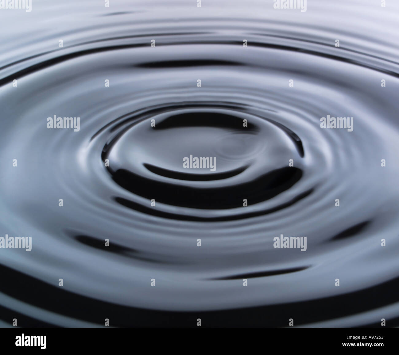 Guttae hi-res stock photography and images - Alamy