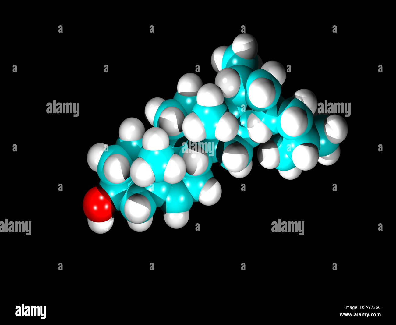 A computer generated model of the Cholesterol molecule Stock Photo - Alamy
