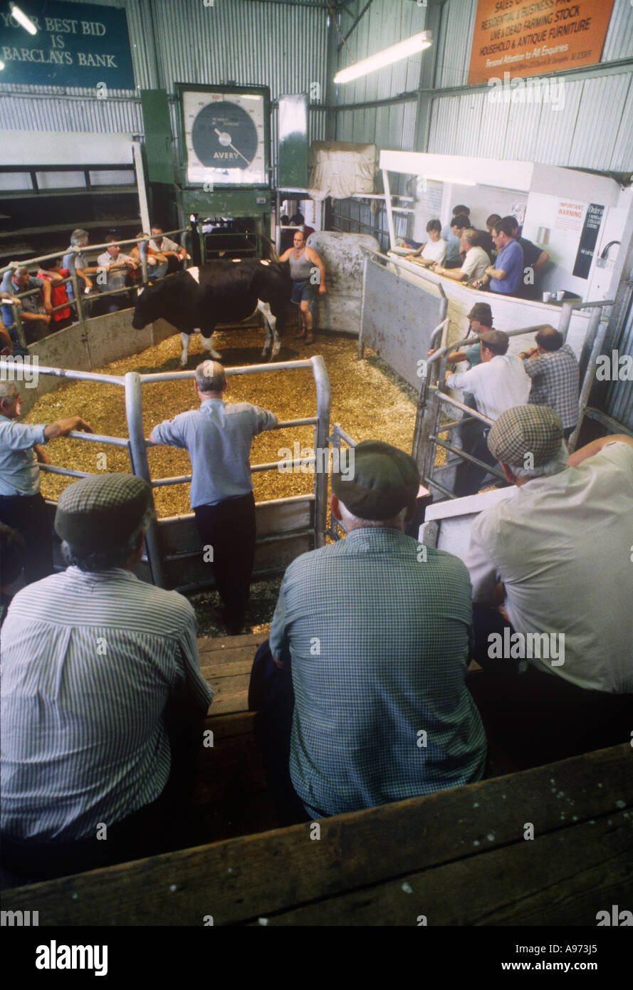 Cattle Market Gaerwen Anglesey North West Wales Stock Photo - Alamy