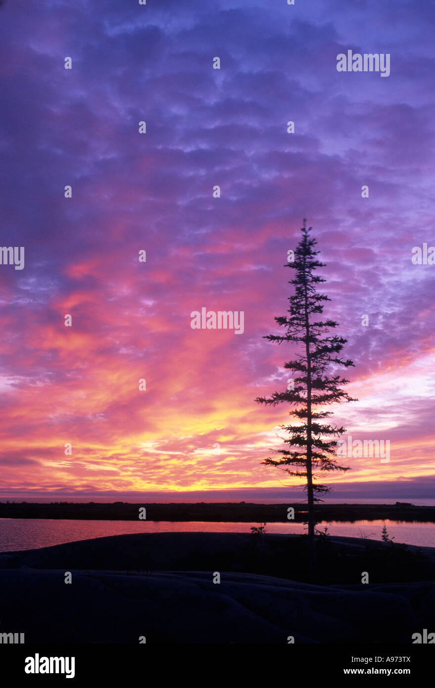 Tundra sunset hudson bay hi-res stock photography and images - Alamy