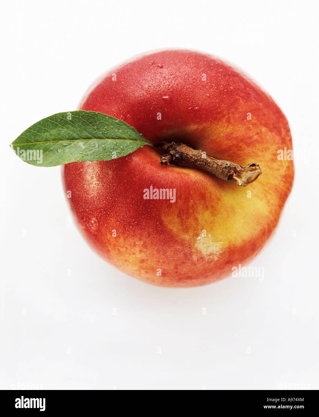 A Nectarine with Leaf from Overhead FoodCollection Stock Photo - Alamy
