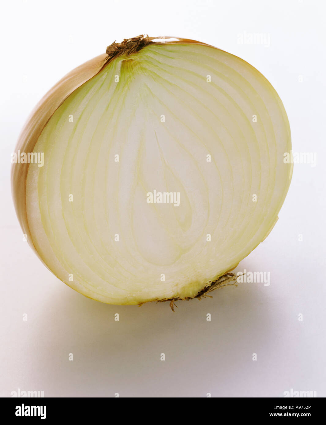 Half of a Yellow Onion FoodCollection Stock Photo - Alamy