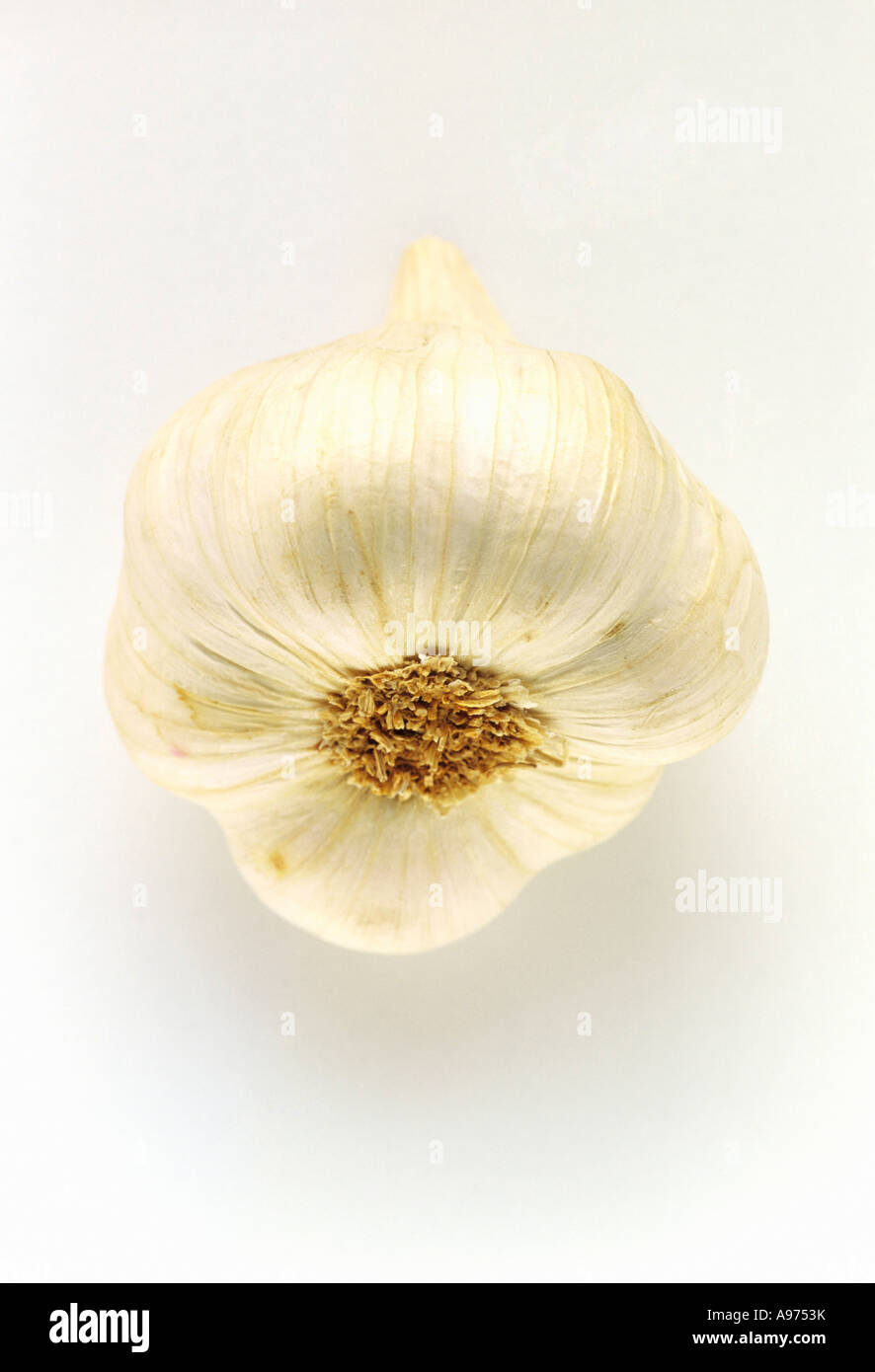 A Garlic Bulb FoodCollection Stock Photo - Alamy