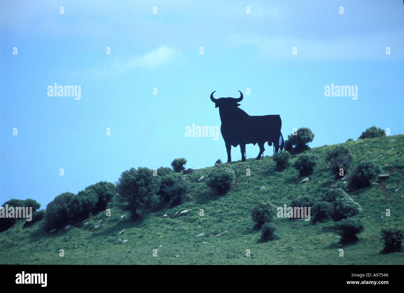 Bull torro hi-res stock photography and images - Alamy