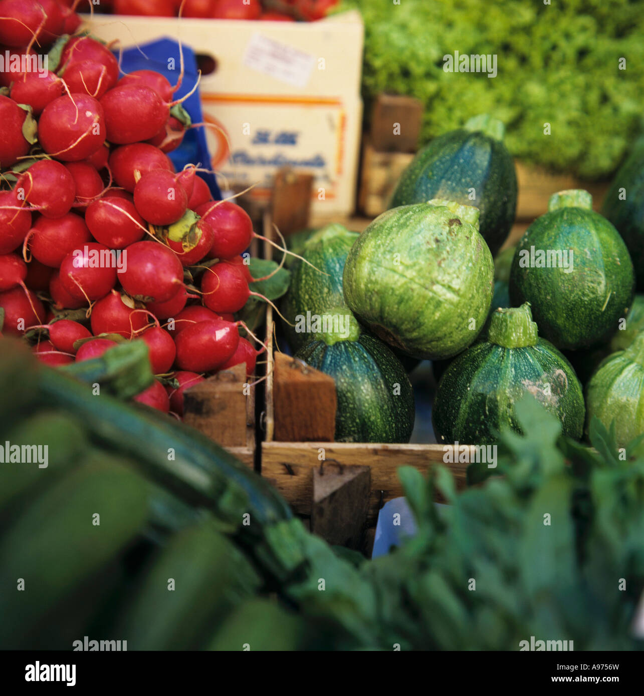 Vegetable Market Zucchini and Red Radishes FoodCollection Stock Photo ...