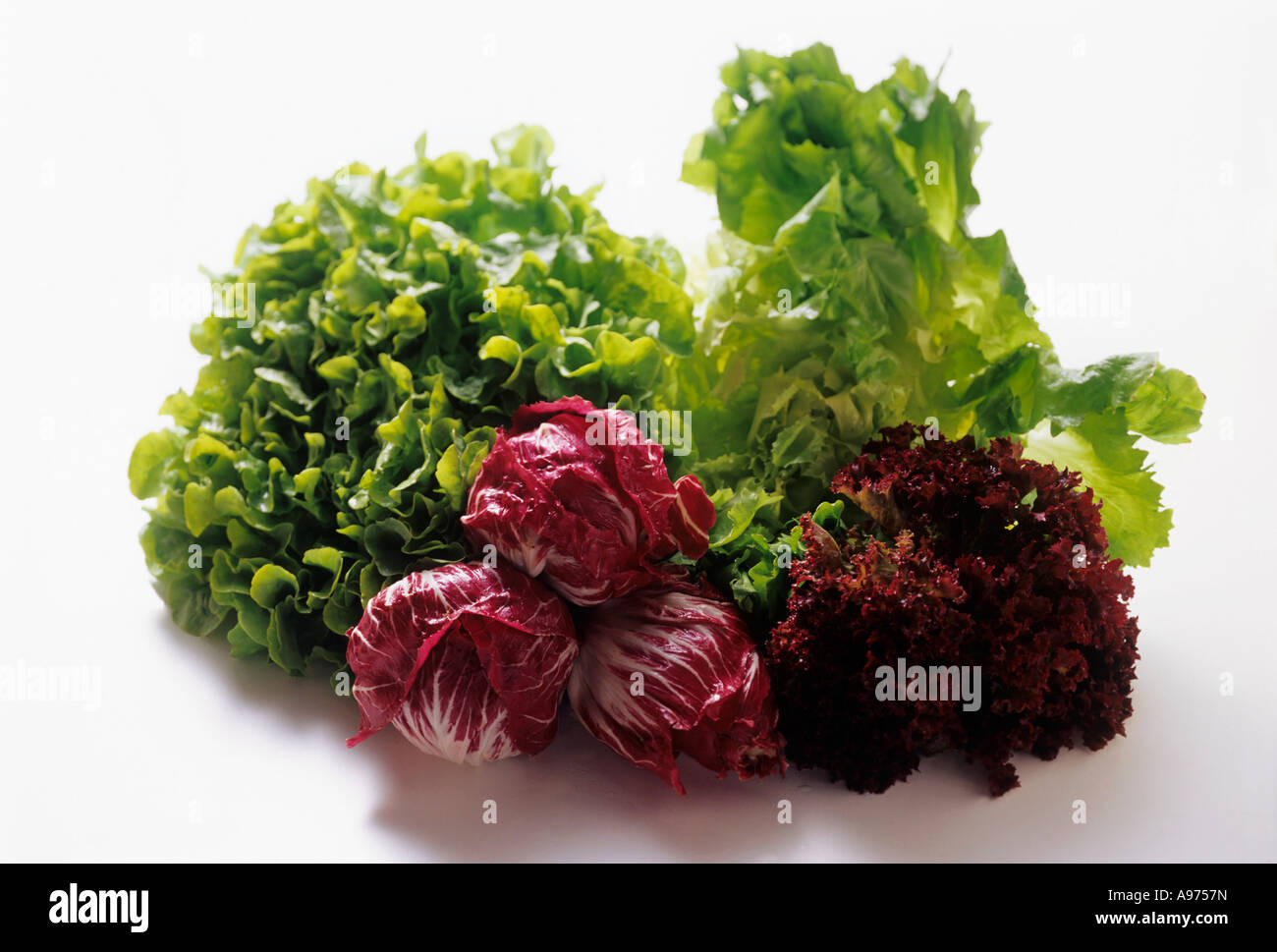 Assorted Types of Lettuce FoodCollection Stock Photo - Alamy