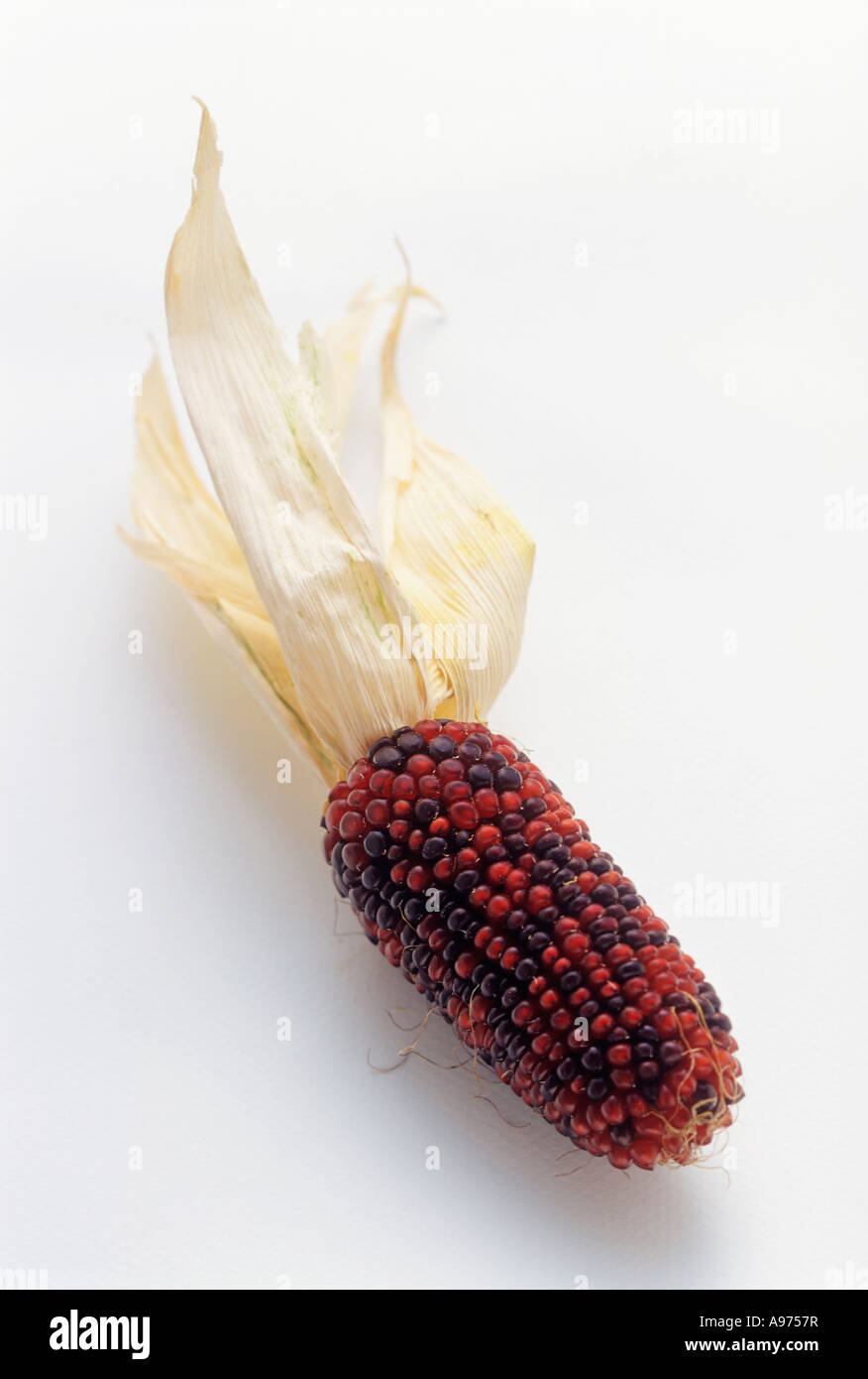 Indian Corn FoodCollection Stock Photo - Alamy