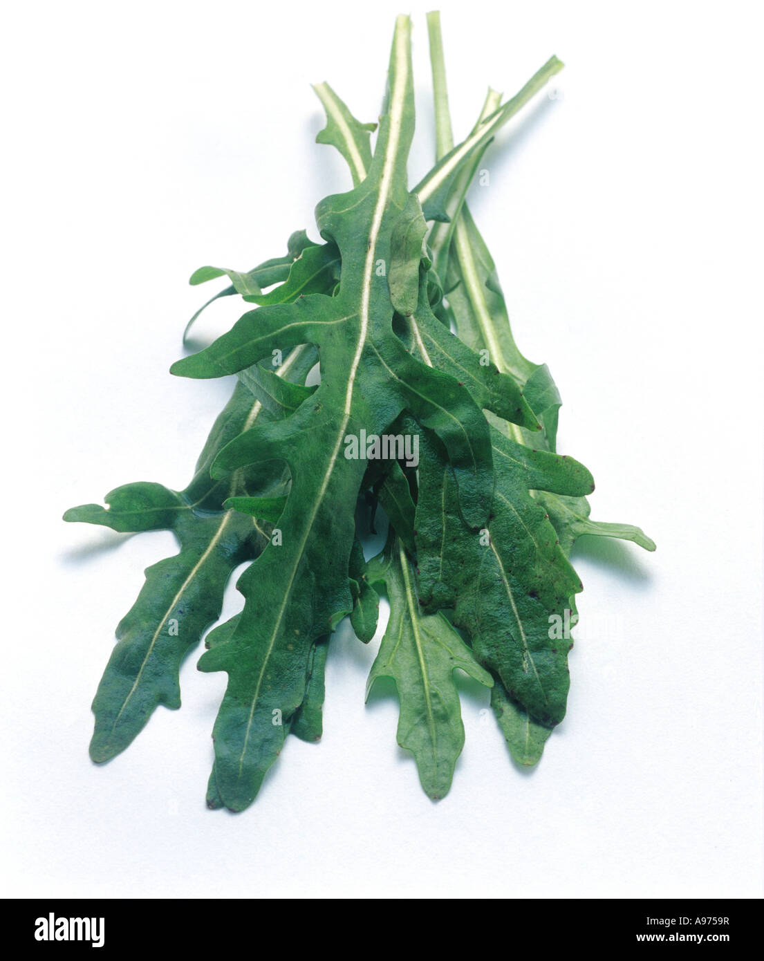 Arugula Leaves FoodCollection Stock Photo - Alamy
