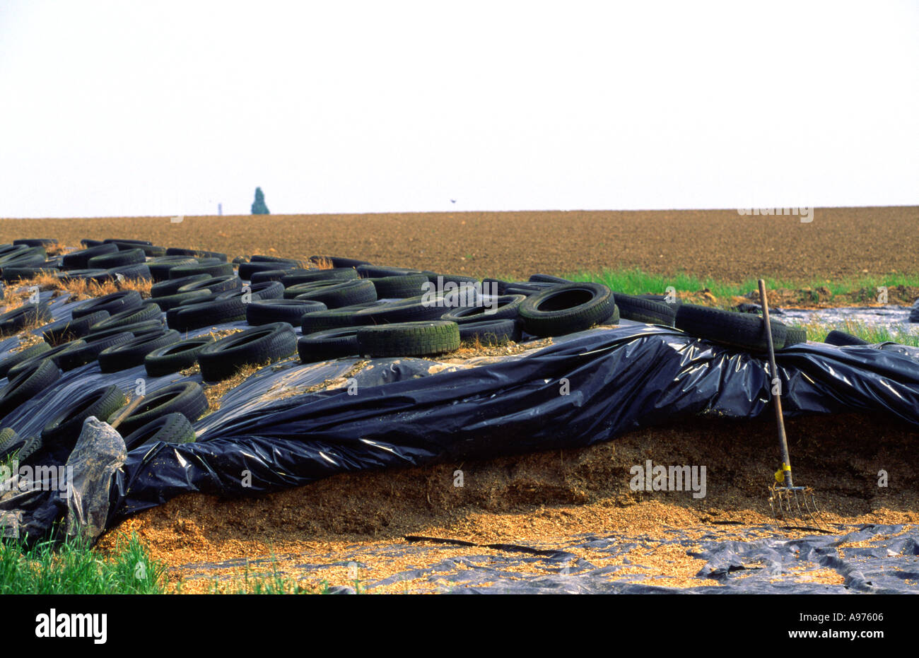 Pile of sawdust covered in plastic which is being held down by old ...