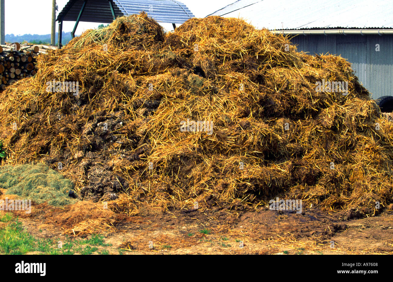 Pitching hay hi-res stock photography and images - Alamy