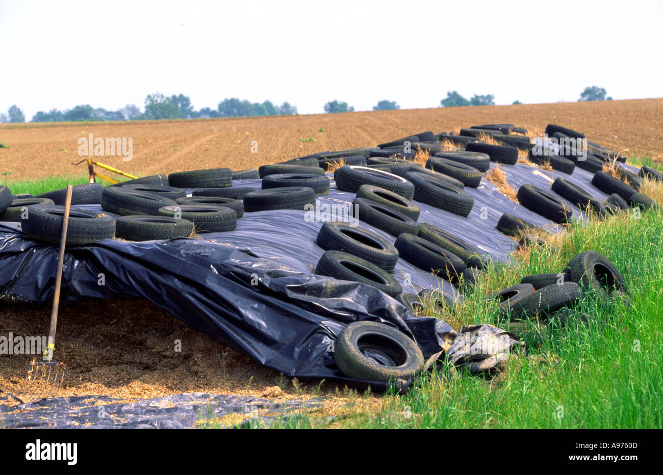 Pile of sawdust covered in plastic which is being held down by old ...