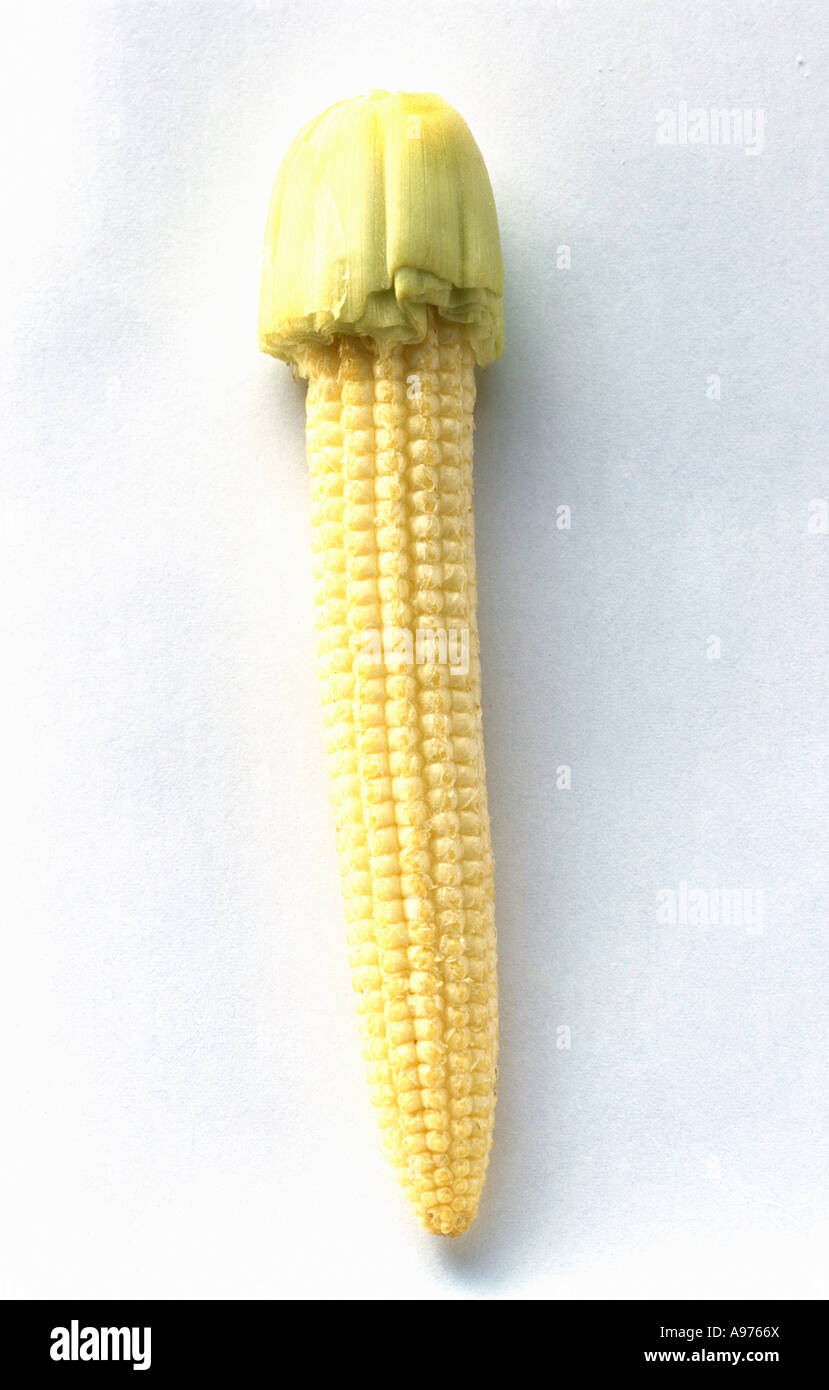 Baby Corn FoodCollection Stock Photo - Alamy