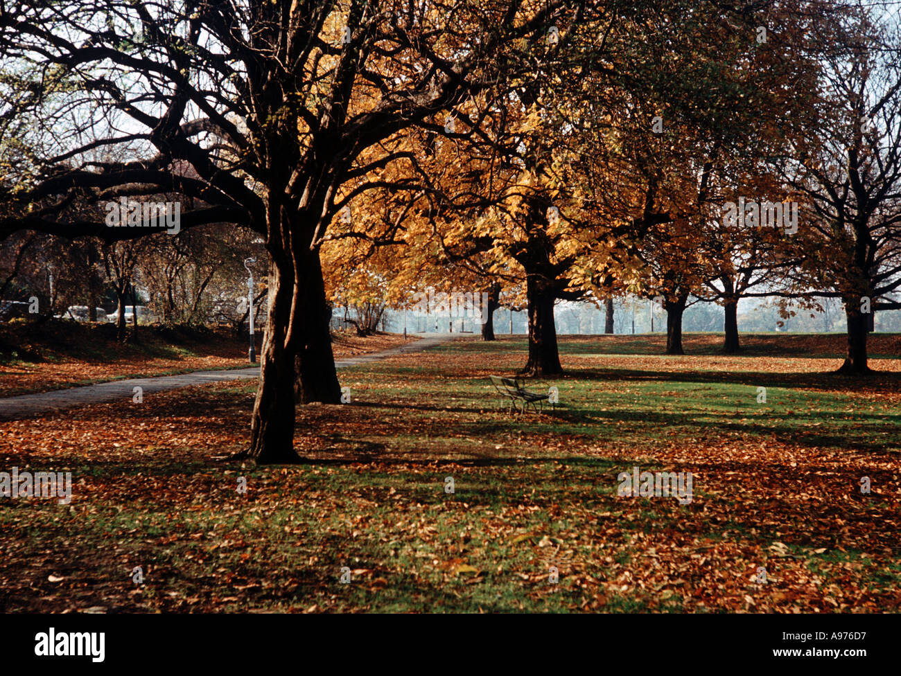 Trees in Autumn on Ealing Common London England Stock Photo - Alamy