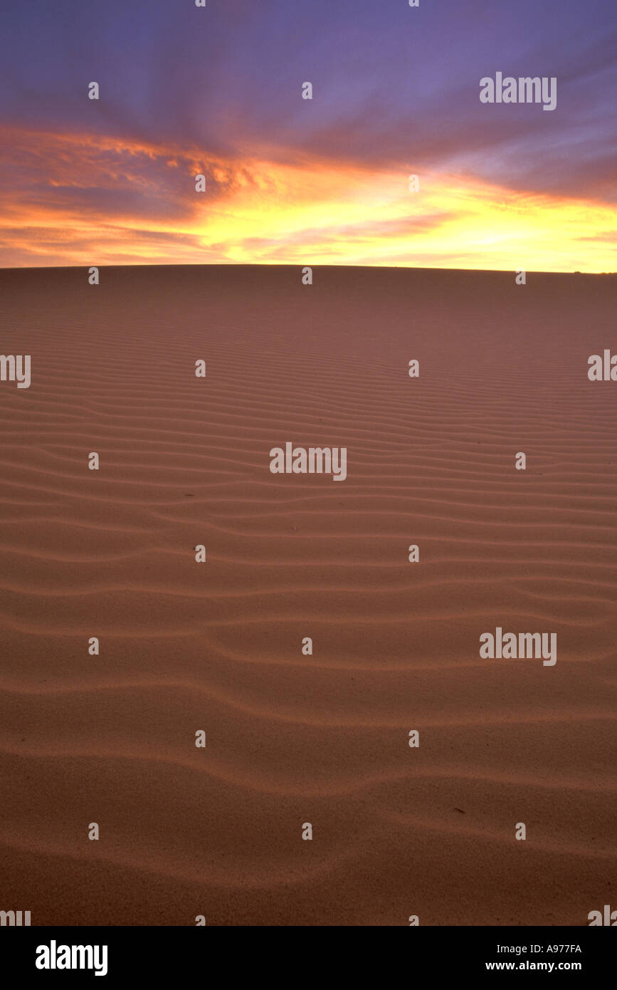 Coral Pink Sand Dunes State Park Utah Stock Photo - Alamy