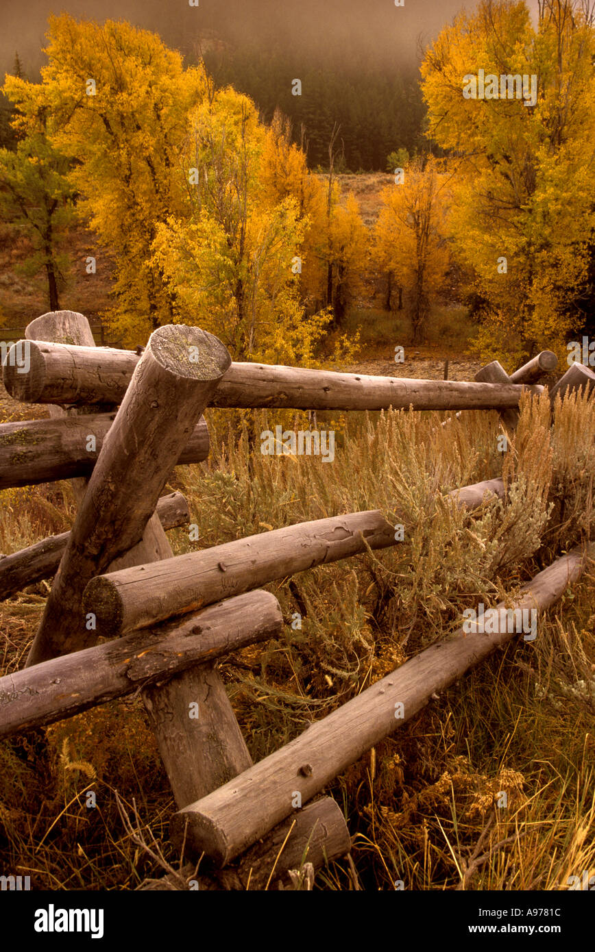 Jackson Fence Grand Teton National Park Jackson Hole Wyoming Stock ...