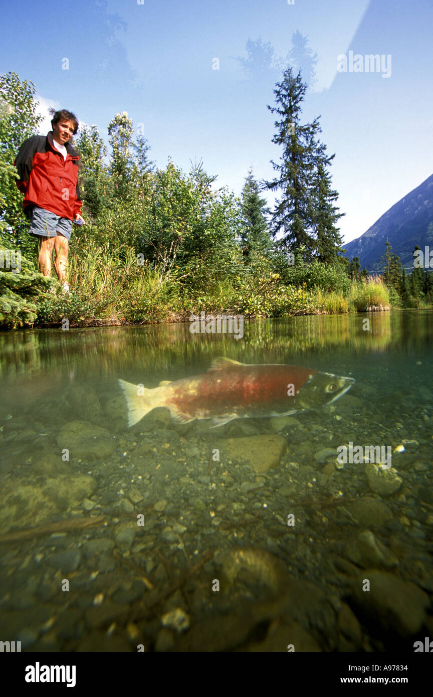 Spawning mr hi-res stock photography and images - Alamy