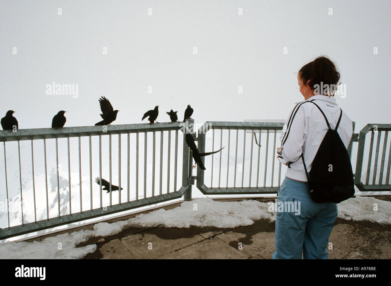 Teenage girl throwing crumbs to a group of black birds high in the ...