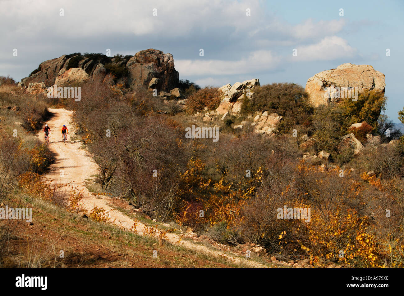 Mountain bike riders on a rural road in Cyprus Stock Photo - Alamy