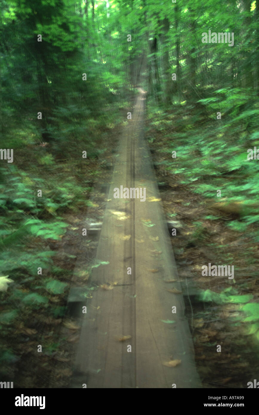 blurred trail hiking forest trees Stock Photo - Alamy