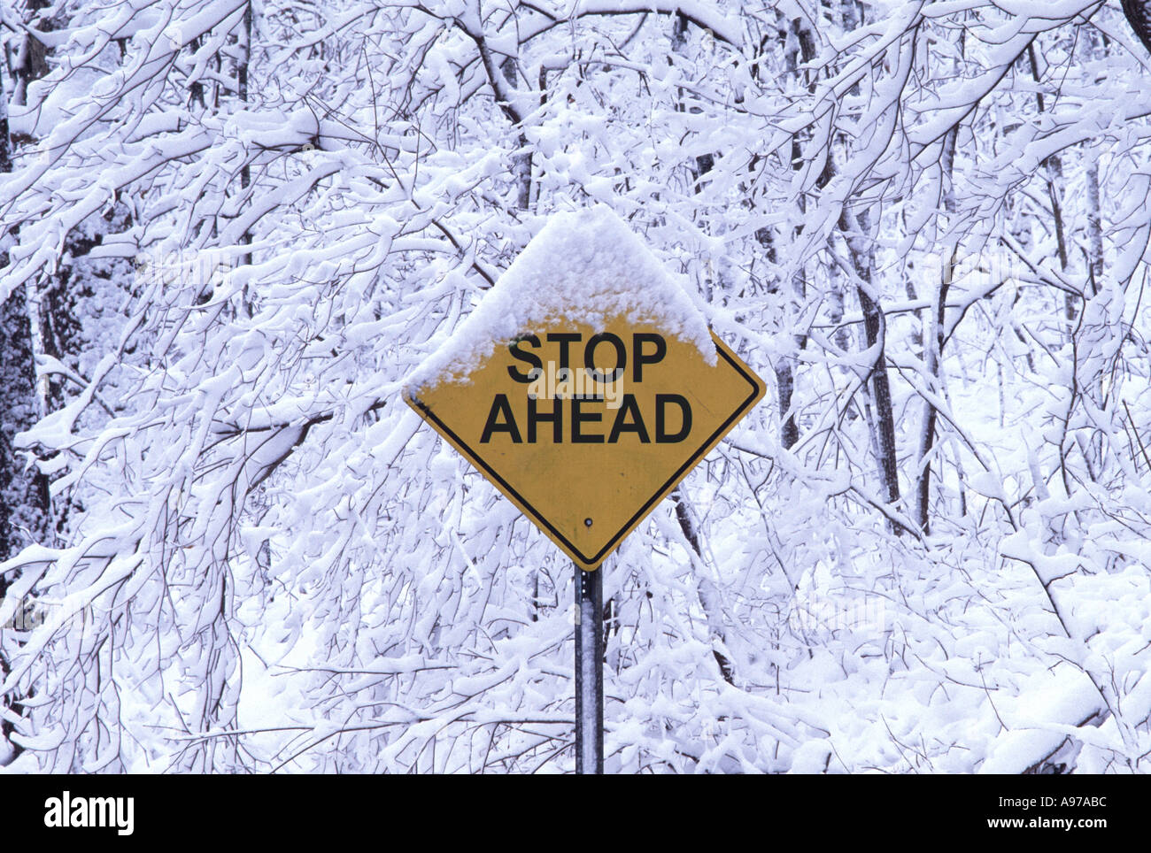 snow covered yellow sign warning Stock Photo - Alamy