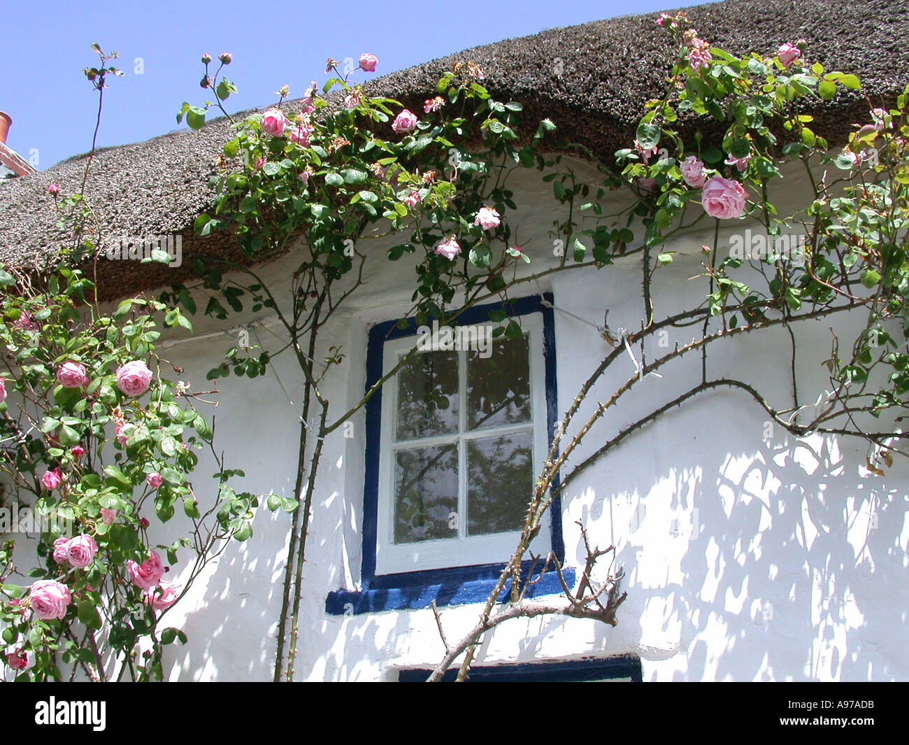 Welsh cottage in oxwich gower hi-res stock photography and images - Alamy