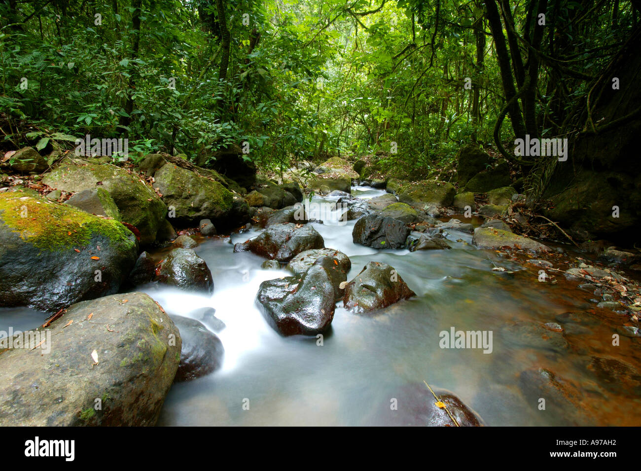 Panama landscape with streaming river in the rainforest near Cana in ...