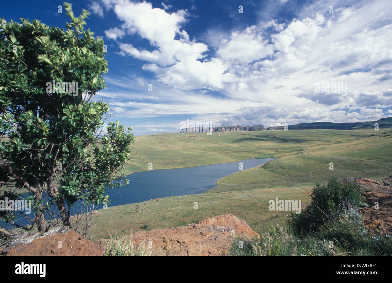 Sterkfontein dam hi-res stock photography and images - Alamy