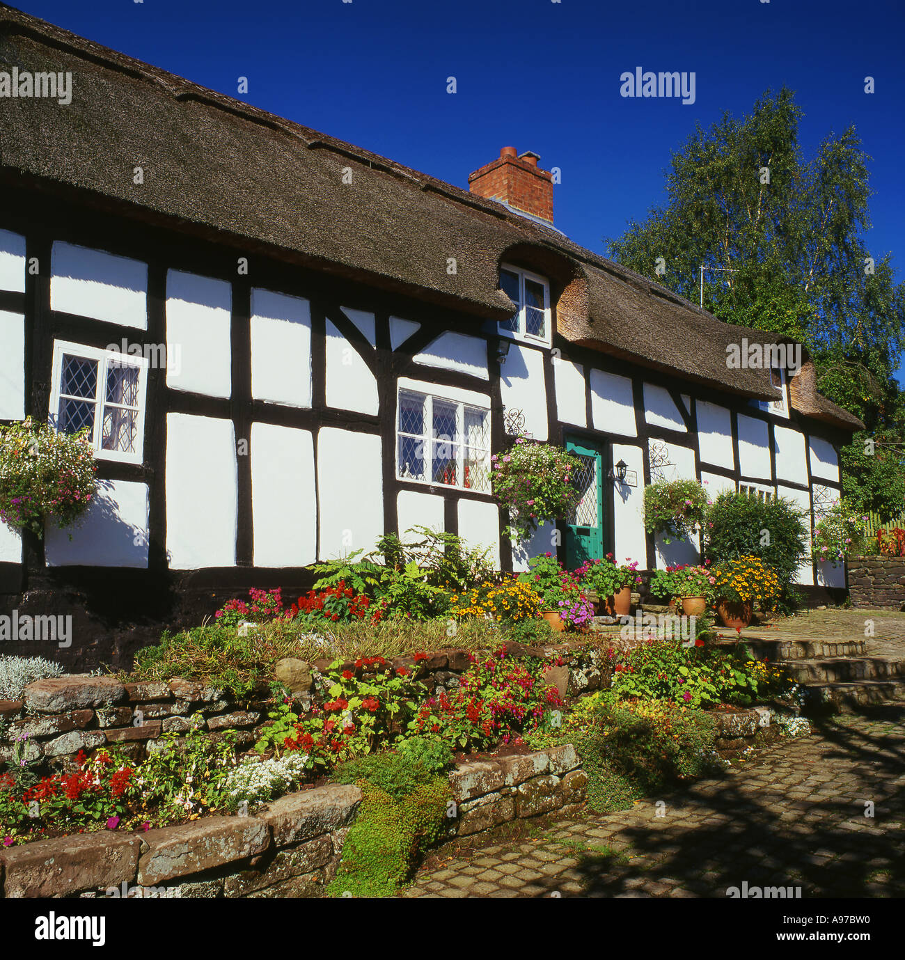 Tarporley cheshire england hi-res stock photography and images - Alamy
