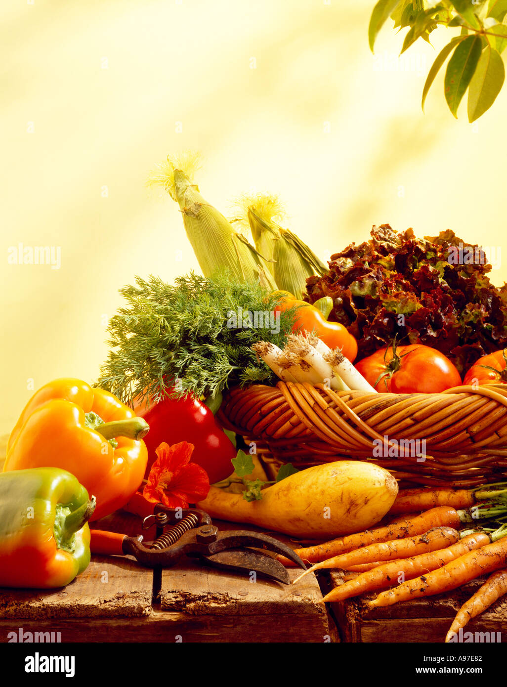 Agriculture - Mixed garden vegetable arrangement in a basket and on ...