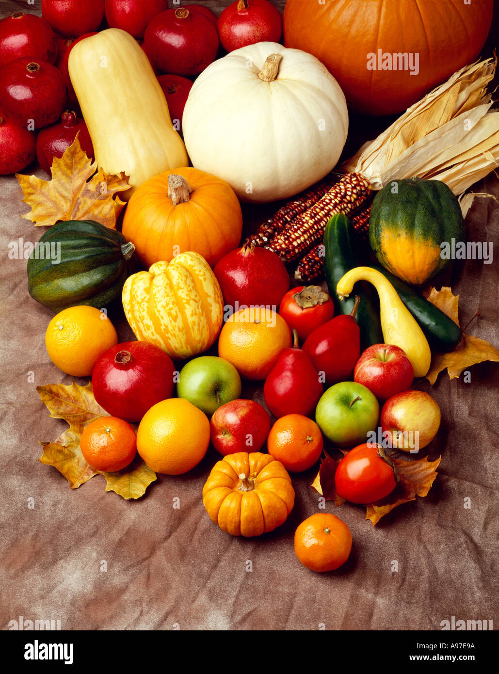 Agriculture - Autumn fruits & vegetables, in studio Stock Photo - Alamy