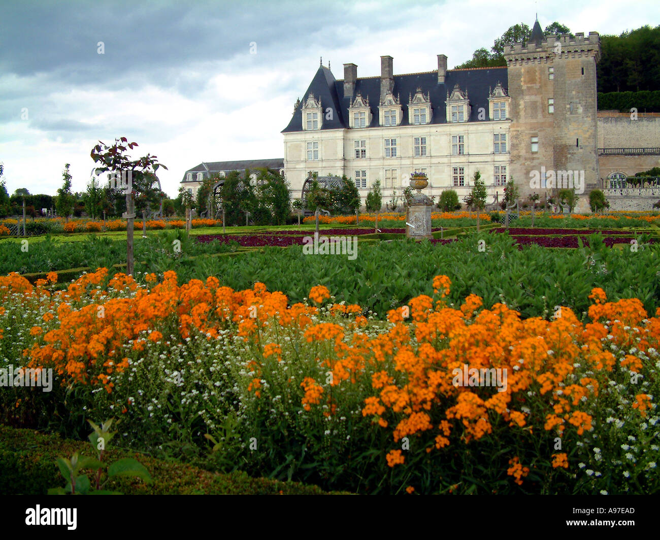 The ornate gardens of the Chateau de Villandry in the Touraine region ...
