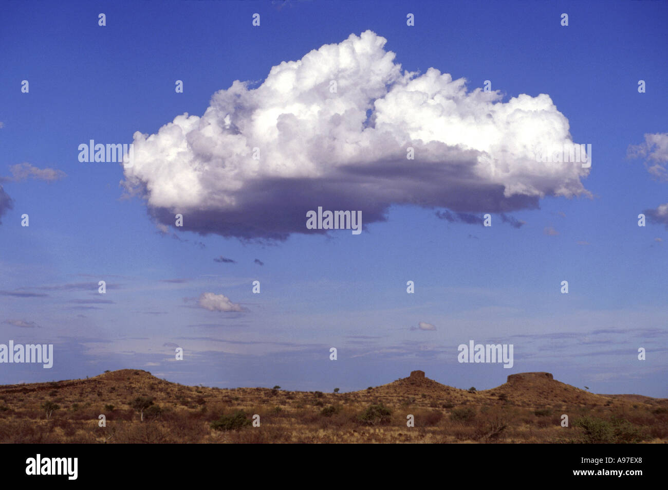 Hardap dam resort namibia africa hi-res stock photography and images ...