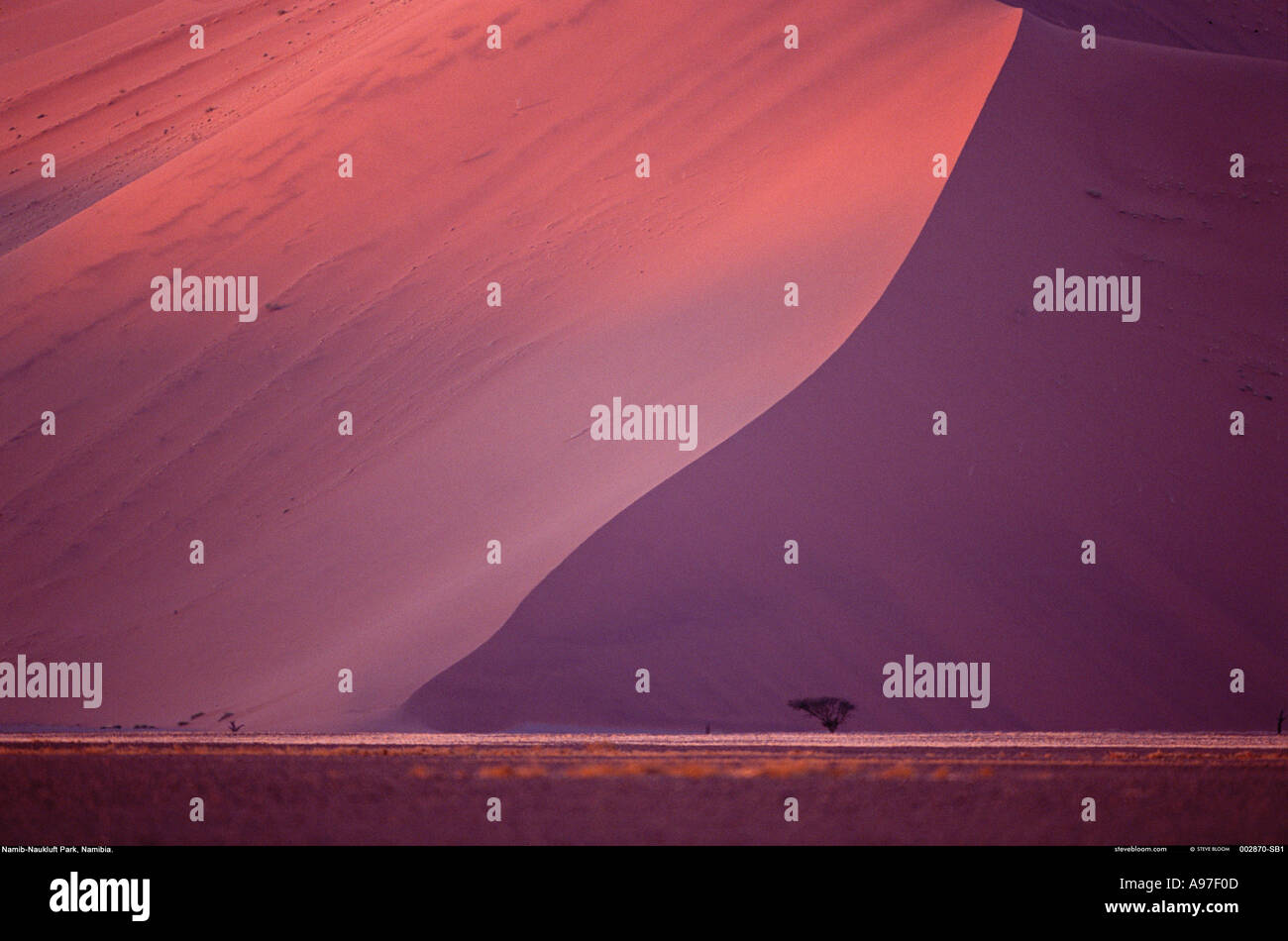 Namib Desert Namibia Africa Stock Photo - Alamy
