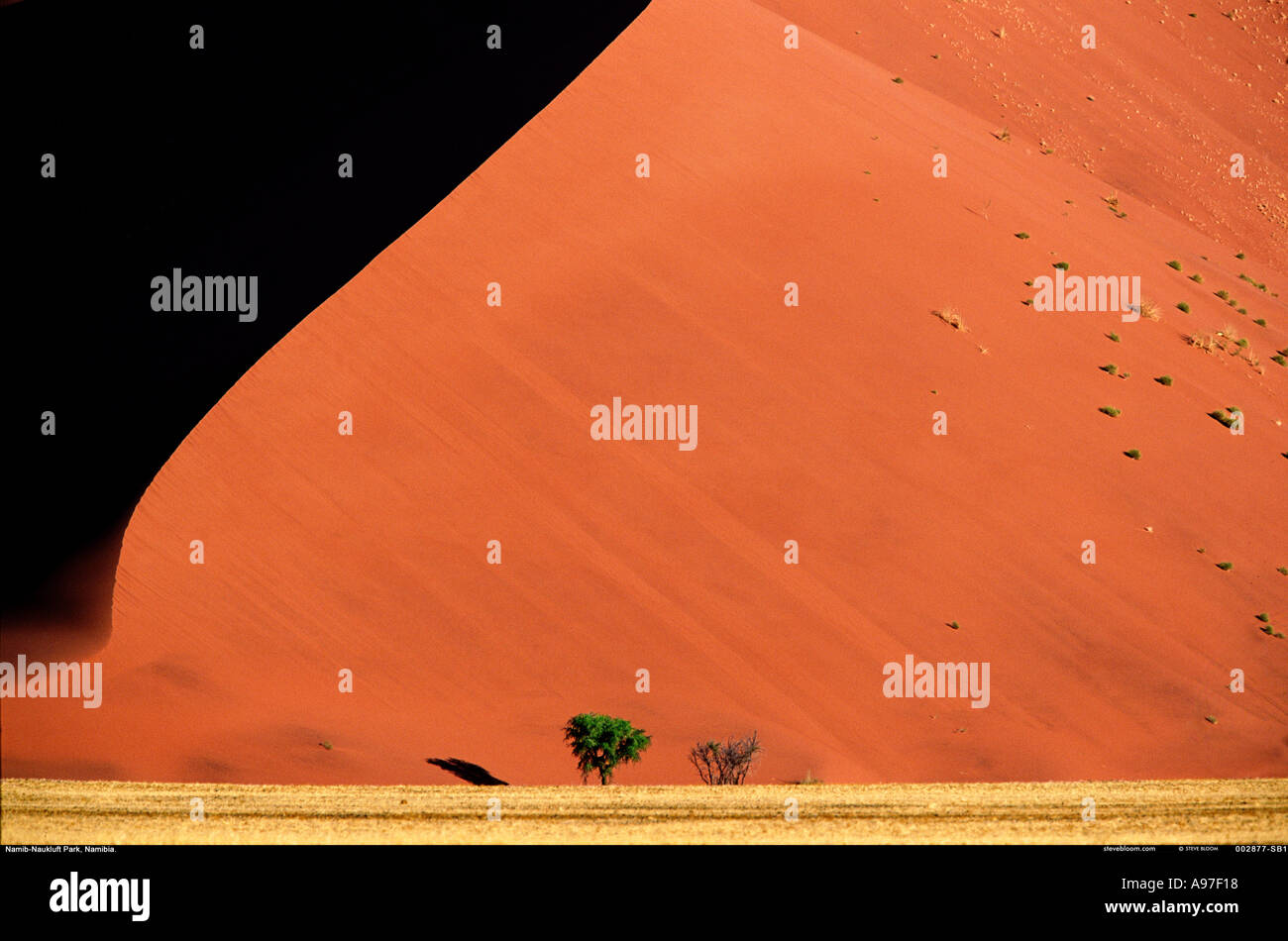 Namib Desert Namibia Africa Stock Photo - Alamy