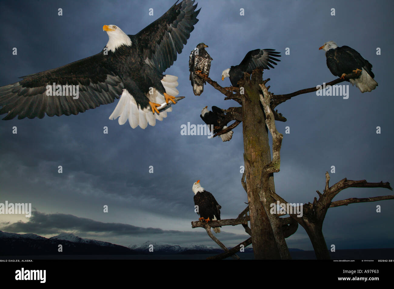 With dark clouds hi-res stock photography and images - Alamy