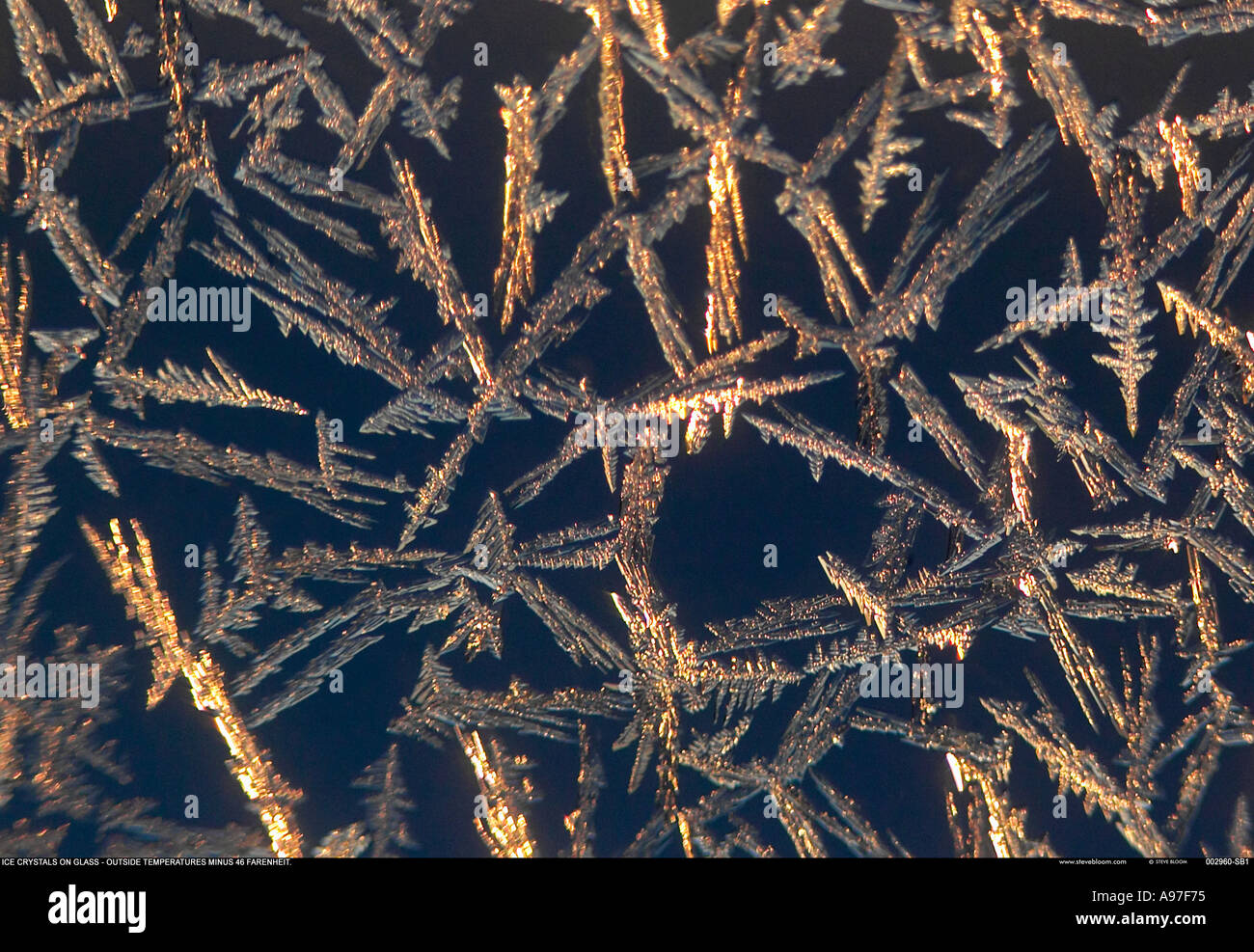 Minus 40 degrees hi-res stock photography and images - Alamy
