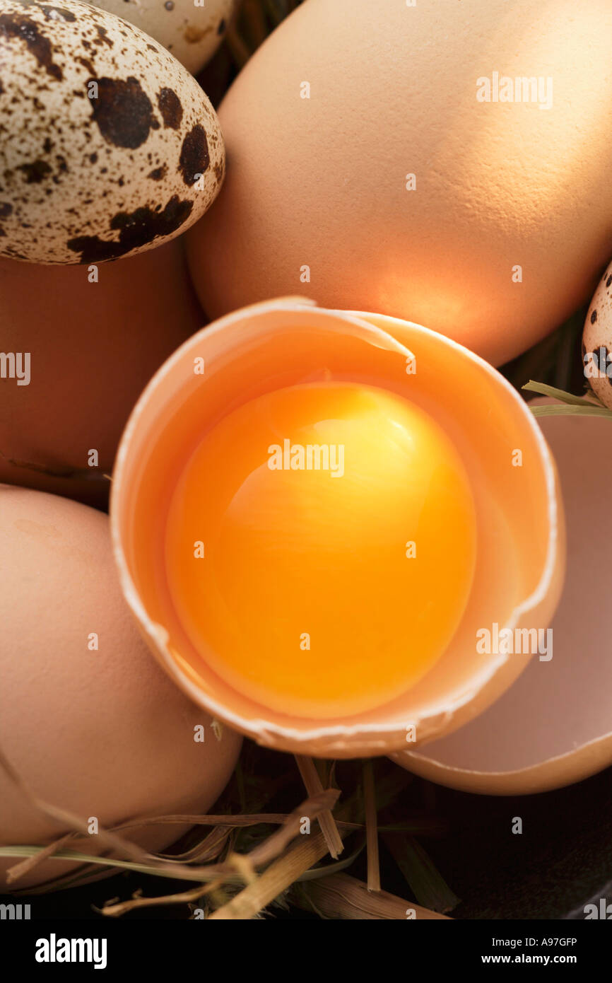 Eggs egg broken open and quail s eggs on straw FoodCollection Stock ...
