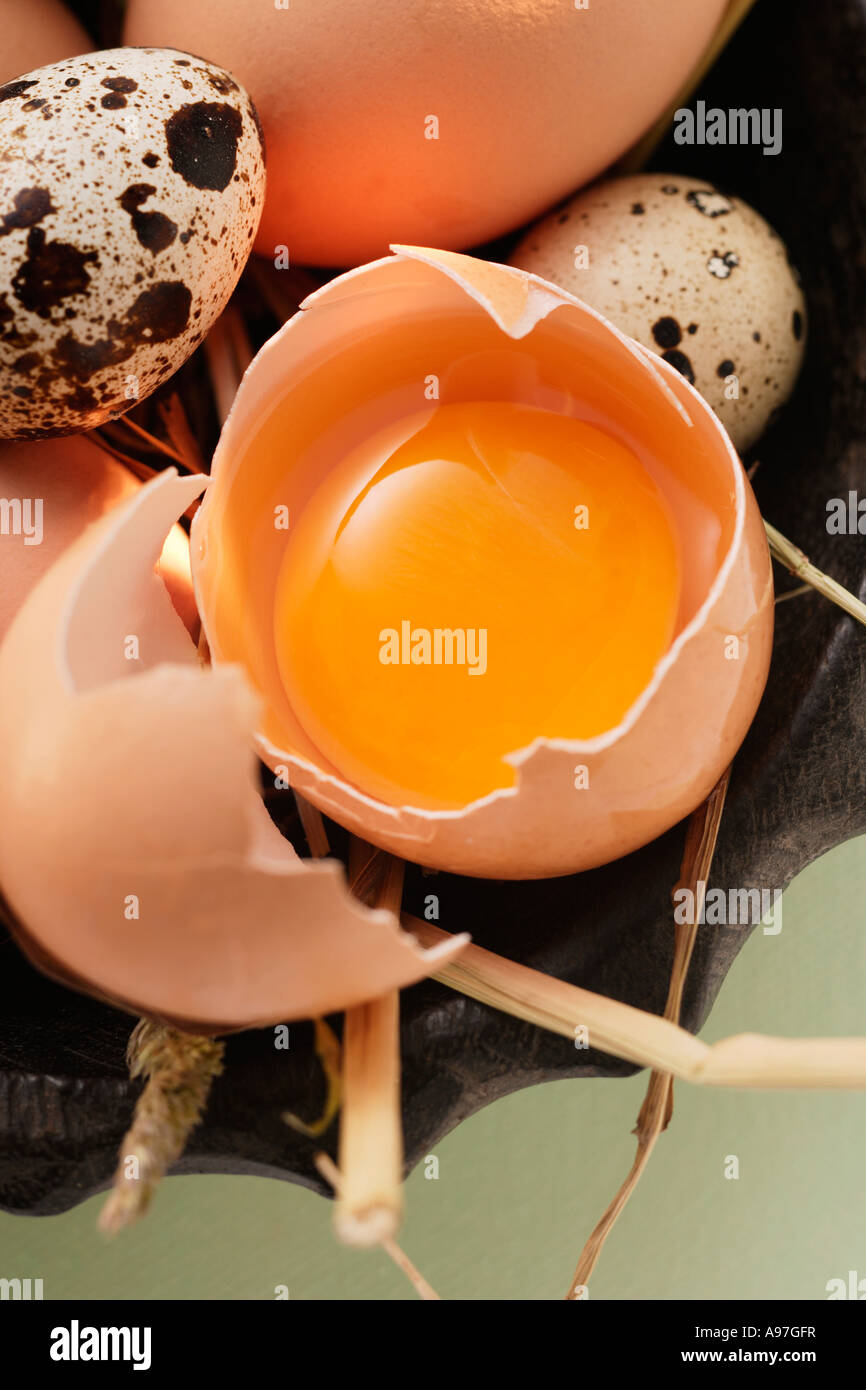 Eggs egg broken open and quail s eggs in bowl with straw FoodCollection ...