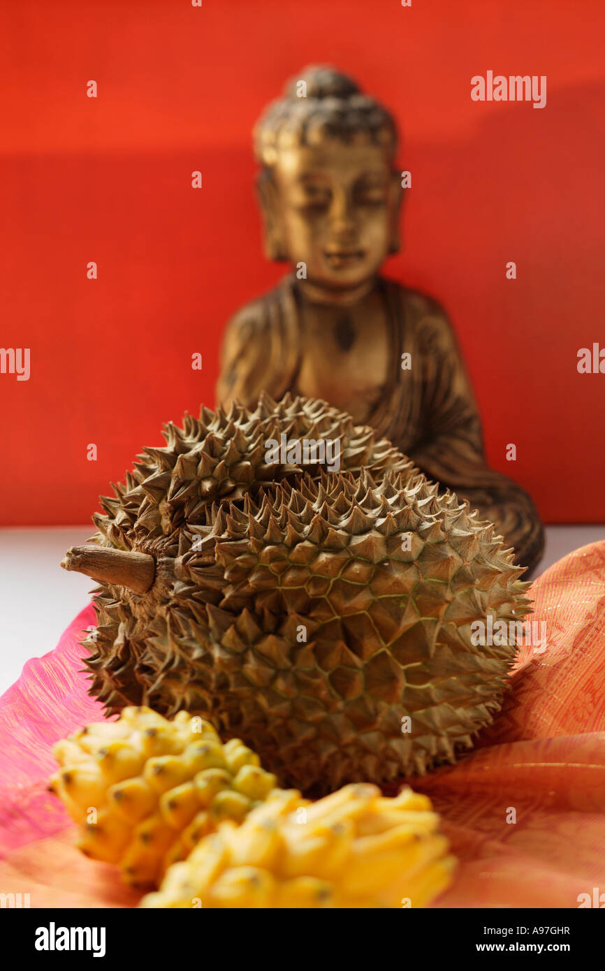 Red pitahayas hi-res stock photography and images - Alamy