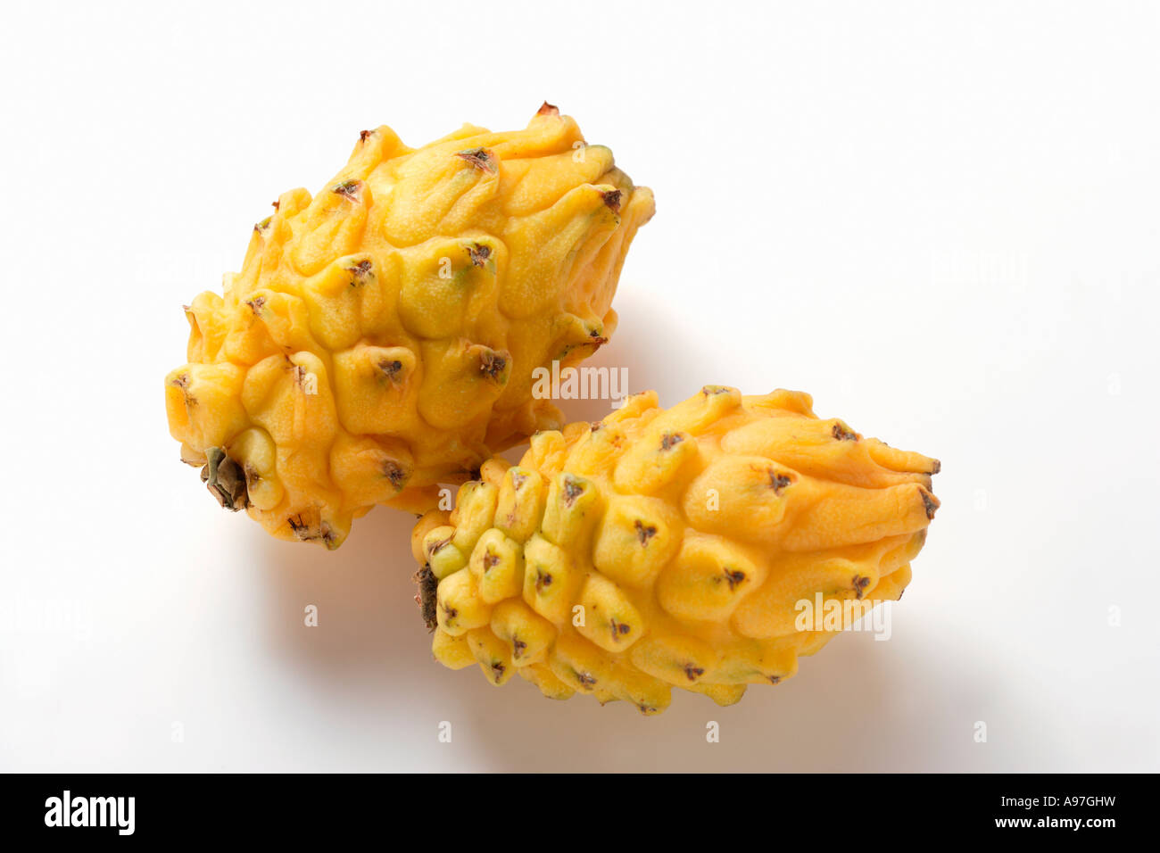 Two pitahayas on white background FoodCollection Stock Photo - Alamy