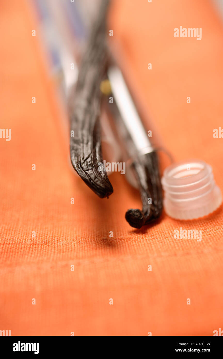 Vanilla pods in glass tubes FoodCollection Stock Photo - Alamy