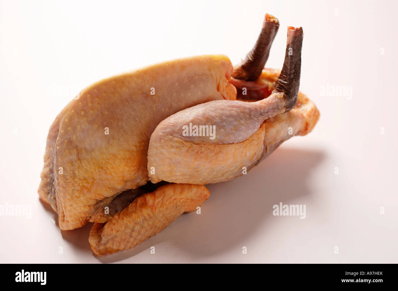 Fresh guinea fowl side view FoodCollection Stock Photo - Alamy