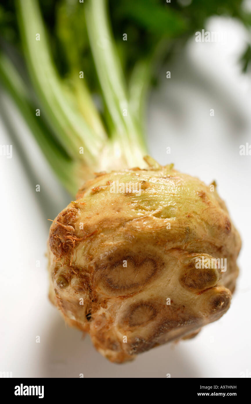 Celeriac close up FoodCollection Stock Photo - Alamy